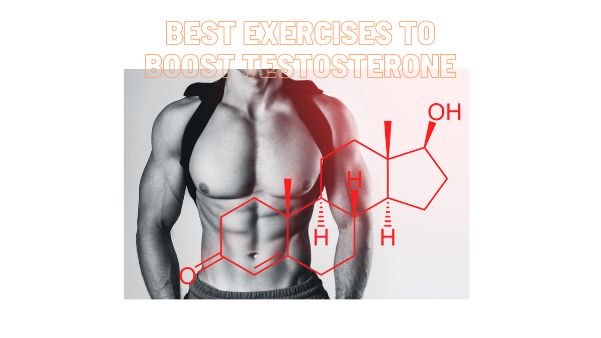 Best Exercise Routine To Boost Testosterone - Unbiased Living